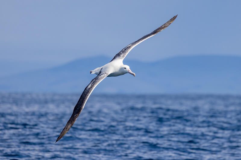 How to fix broken links | LinkFixer Advanced | LinkTek.com